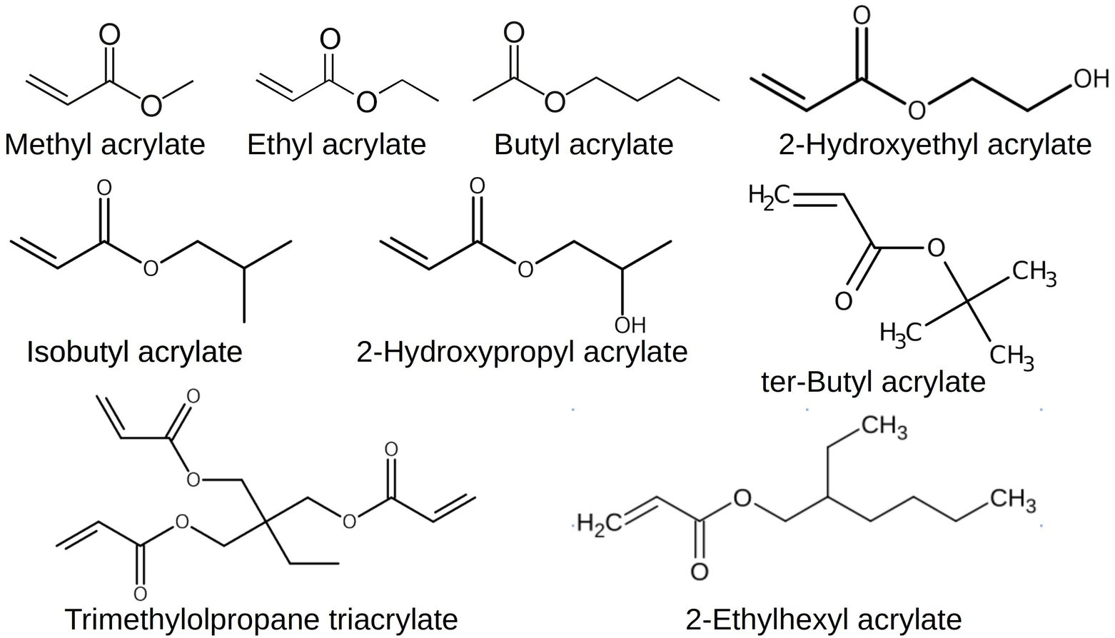 Main-Product: Acrylic Acid Esters